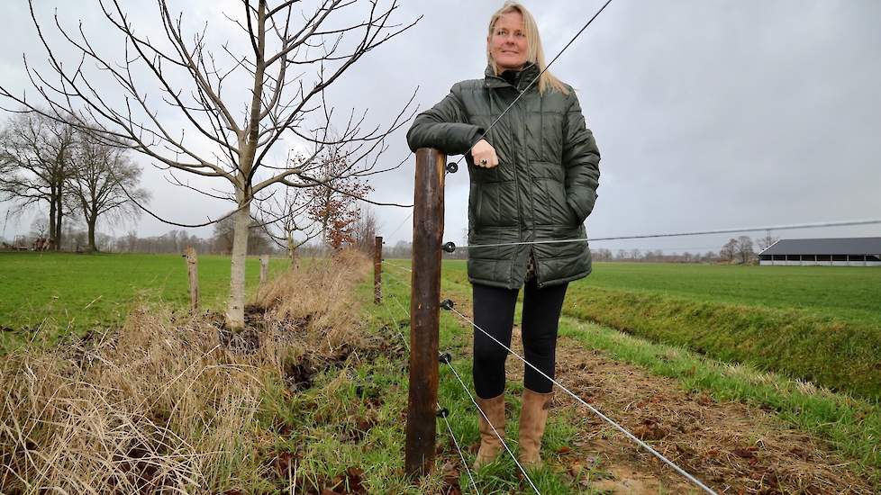 Wolf-Fencing Nederland ziet komst wolf als onvermijdelijk | Veld-post ...