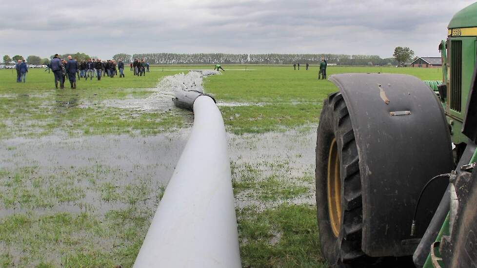 Muizen aanpakken op alle fronten tegelijk | Veld-post.nl ...