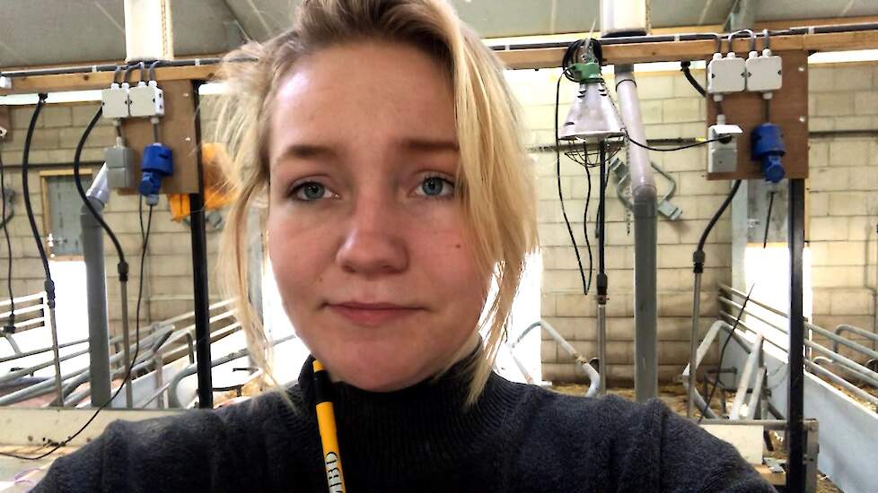 Video: Biologisch varkenshouden of regulier? | Veld-post.nl ...