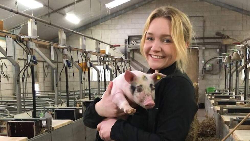 Video: Akkerbouwstage voor varkenshoudster? | Veld-post.nl ...