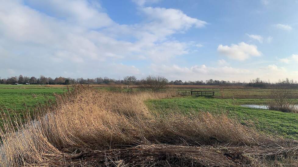 Leidraad gebiedsoffertes voor leveren maatschappelijke diensten | Veld ... Leidraad gebiedsoffertes voor leveren maatschappelijke diensten | Veld ...