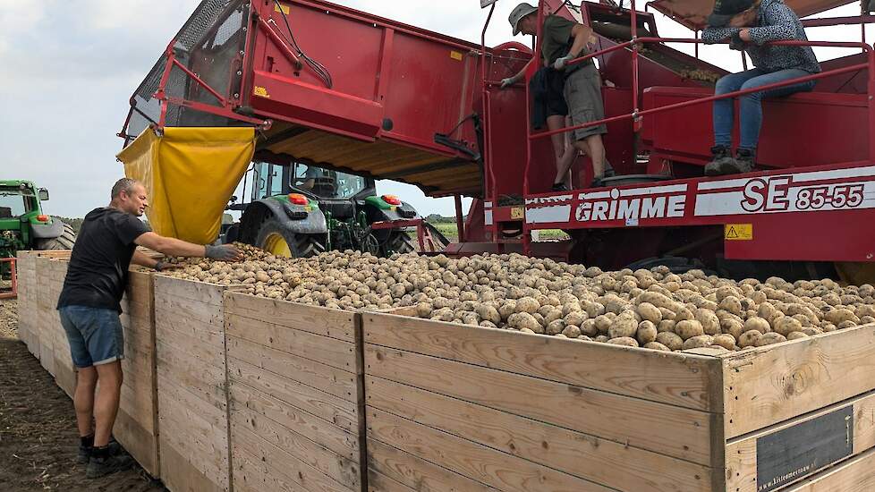 Fotoserie: Aardappelen rooien nabij Munnekezijl | Veld-post.nl ...
