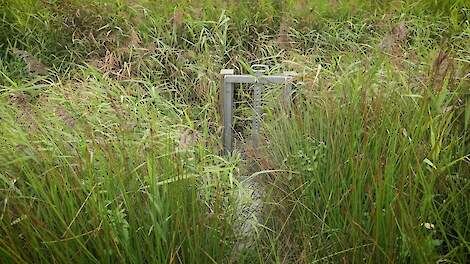 Regio Deal Natuurinclusieve Landbouw Noord-Nederland › Video: Is ...